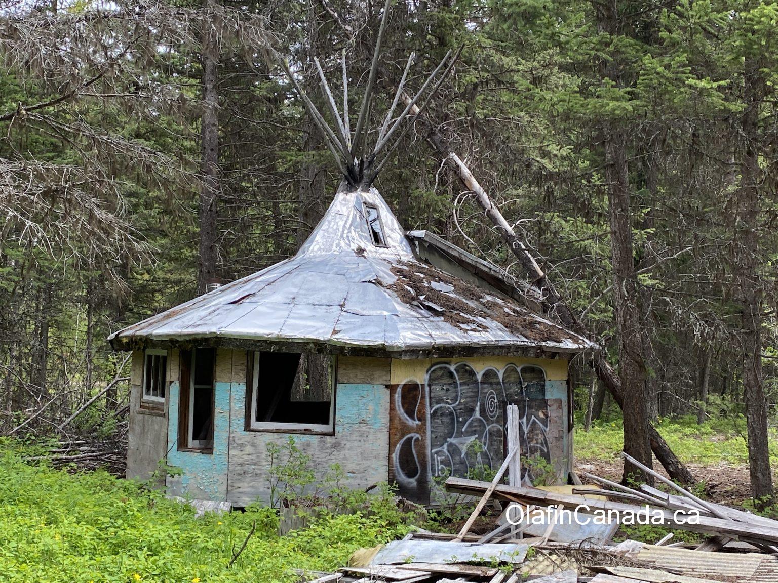 Stocks Meadow - Olaf in Canada