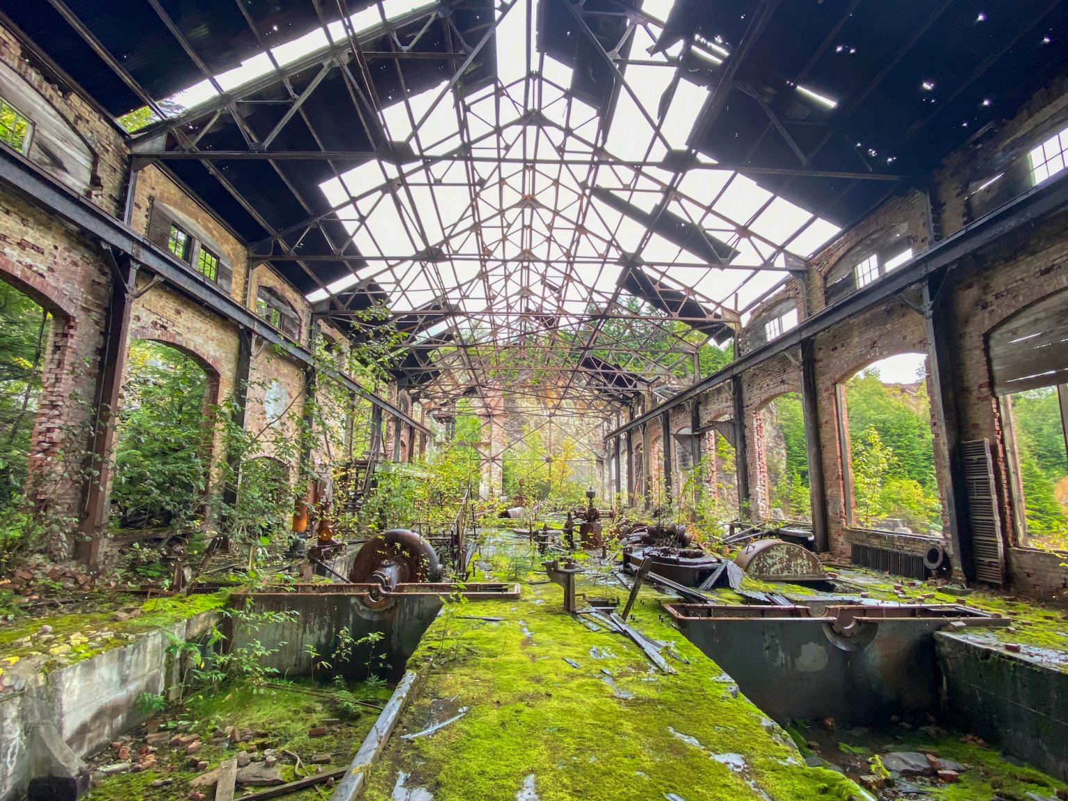 Anyox - Olaf in Canada